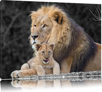 Pixxprint prächtiger Löwe kuschelt mit kleinem Jungtier B&W, Größe: 100x70cm, Leinwandbild, fertig gespannt, Wandbild, Dekoration, Kunstdruck, kein Poster