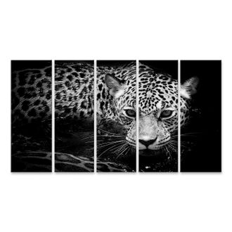 Islandburner Bild auf Leinwand Schwarz Wei&szlig; Jaguar im Wasser Portr&auml;t Nahaufnahme Bilder Wandbilder Poster