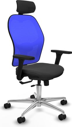 Piqueras y Crespo Ergonomischer Schreibtischstuhl mit 3D-Armlehnen, h&ouml;henverstellbarer Lendenwirbelst&uuml;tze und h&ouml;henverstellbarem Kopfteil, Blau / Dunkelgrau