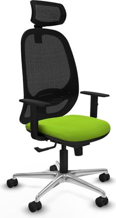 Piqueras y Crespo Hochwertiger Schreibtischstuhl mit 1D-Armen, h&ouml;henverstellbare Lendenwirbelst&uuml;tze und Kopfteil, h&ouml;henverstellbar und neigbar, Schwarz/Pistazie