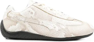 Puma Ceci est un serpent Puma Speedcat
