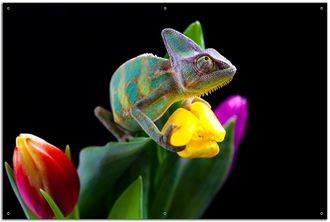 Wallario Outdoor-Poster f&uuml;r Garten oder Balkon Cham&auml;leon im Bl&uuml;tenmeer, Motivbanner Gr&ouml;&szlig;e: ca. 60 x 90 cm, Outdoor-Bild