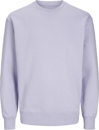 Jack & Jones JJESTAR Basic Sweat Crew Neck NOOS