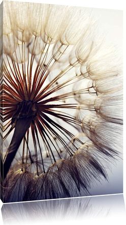 Pixxprint Schöne Pusteblume, Größe: 100x70cm, Leinwandbild, fertig gespannt, Wandbild, Dekoration, Kunstdruck, kein Poster