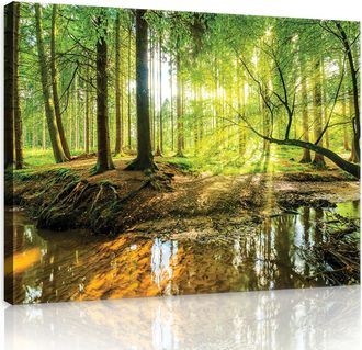 ForWall Leinwand Bilder - Wald Natur Landschaft Sonne - 100x75 cm Leinwandbilder - Bild auf leinwand - Wandbild XXL groß Wandbilder für Wohnzimmer Schlafzimme