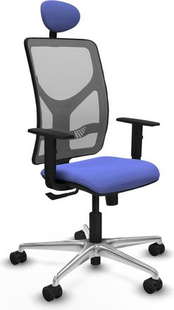 Piqueras y Crespo Computerstuhl mit 1D-Armlehnen, h&ouml;henverstellbarer Lendenwirbelst&uuml;tze und festem Kopfteil, ausgestattet mit 3 Positionen und Schneidschaum, Grau/Hellb
