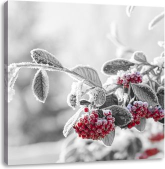 Pixxprint Vogelbeeren im frostigen Winter, Gr&ouml;&szlig;e: 60x60 cm, Leinwandbild Quadratisch, Wandbild, Kunstdruck, fertig bespannt