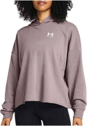 Under Armour Femme, Sweatshirts et sweats &agrave; capuche, Brun, Taille: 44 FR Sudadera 1382736-015