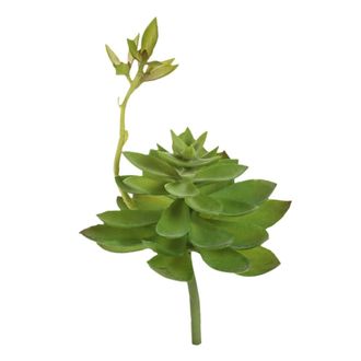 Cabilock Simulierte Sukkulente Lotuspflanze K&uuml;nstlicher Pflanzenschmuck Gr&uuml;n F&uuml;r B&uuml;ro Wohnzimmer Dekoration