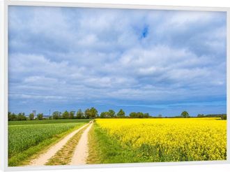artboxONE Poster mit weißem Rahmen 18x13 cm Natur Feldweg, Rapsfeld und Wolken - Bild raps Feld feldweg