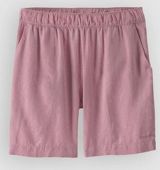 Patagonia Garden Island Long - 6 In. Shorts light violet