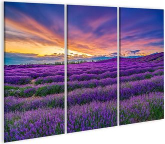 Islandburner Bild auf Leinwand Lavendelfeld eindrucksvoll Provence Himmel Lavendel Bilder Wandbilder Poster BNRG-3P