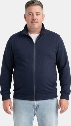 Men Plus Fleecejacke Sweatjacke Stehkragen Zipper 2 Taschen