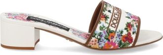 Dolce & Gabbana Femme, Chaussures, Multicolore, Taille: 38 1/2 EU Slides Plates en Agneau et Polyamide