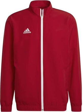 adidas Herren Jacke Entrada 22 (normal & lang)