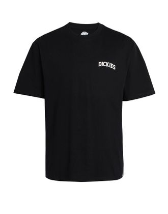 Dickies ELLISTON TEE SS