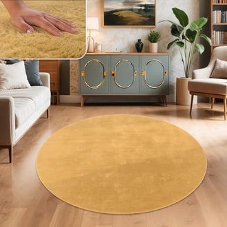 Paco Home Tapis Salon Fausses Fourrures Doux Lavable Moderne Élégant Facile À Entretenir Effet Fourrure Uni Brillant Douillet À Poils Courts, Dimension:100 cm R