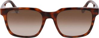 Lacoste Homme, Accessoires, Brun, Taille: ONE Size Lunettes de soleil