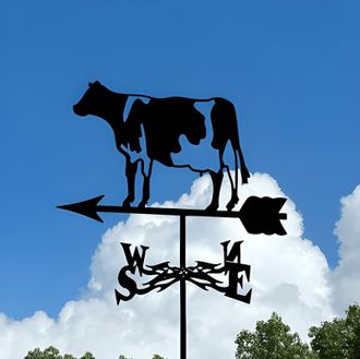 Generic Schwarze Wetterfahne aus Metall Zur Anzeige der Windrichtung Im Au&szlig;Enbereich f&uuml;R Hof Garten Bauernhaus Scheune Schuppen oder Terrasse(W23)