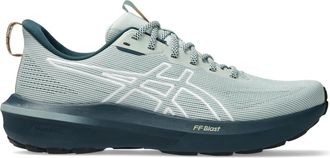 Asics Mens GT-1000 14 TR Nature Running Shoe Nature Bathing/Lichen Rock - 1011C131-300