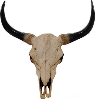 Hhg Deko Sch&auml;del 64cm, Polyresin Stier Bulle Longhorn Kopf Troph&auml;e, In-/Outdoor natur