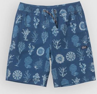 Salty Crew Crew Volley Kids Boardshort bleu
