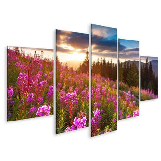 Islandburner Bild Bilder auf Leinwand Sch&ouml;ne Herbstlandschaft in den Bergen mit rosa Bl&uuml;ten. Wandbild Poster Leinwandbild SRN
