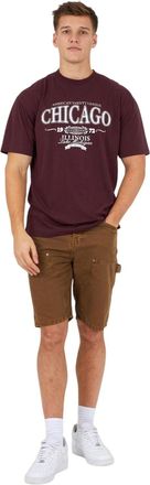Brave Soul Freizeitshorts f&uuml;r Herren (Braun)