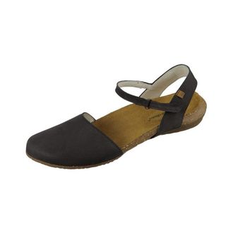 El Naturalista El Naturalista -