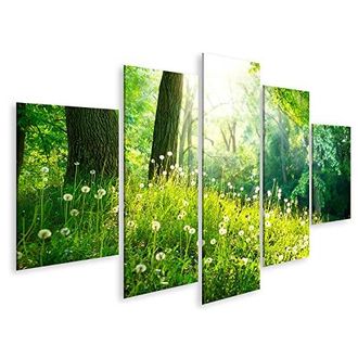 Islandburner Tableau sur Toile Printemps Nature Beau Paysage Herbe Verte Et Arbres Cadre Affiche Poster Murale Tableaux
