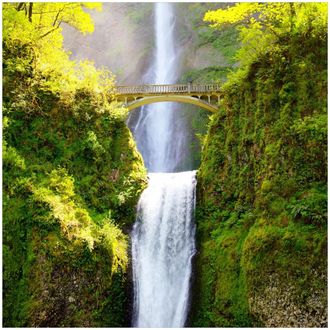 Wallario Sticker/Aufkleber f&uuml;r K&uuml;hlschrank/Geschirrsp&uuml;ler/K&uuml;chenschr&auml;nke, Selbstklebende Folie - 60 x 60 cm, Motiv: Br&uuml;cke &uuml;ber dem Wasserfall