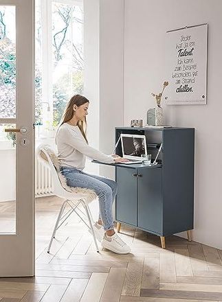 Schildmeyer Sekret&auml;r Serie Rena 500, 153501, Fjord, 65,2 x 39 x 101,7 cm