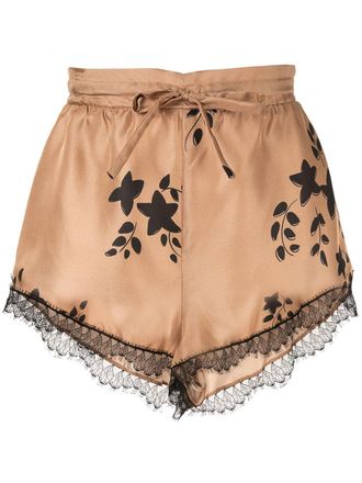 macgraw short St Clair - Marron