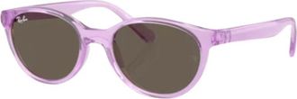 Ray-Ban unisex, Accessoires, Violet, Taille: 45 MM Lunettes de soleil Pantos