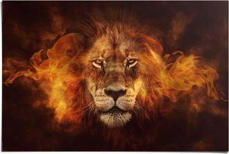 Reinders Poster, Löwe in Flammen, Hobbyraum, Poster, Wanddeko, Room Decor, 150 gr. glänzend Bilderdruckpapier, Braun, 61x91,5cm