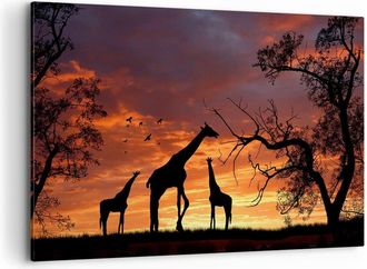 Arttor Wandbilder Dekoration Wohnzimmer Giraffe Afrika Sonne Safari Bilder auf Leinwand 120x80cm Leinwandbild Schlafzimmer Deko Wand Kunstdruck Art Groß XXL 