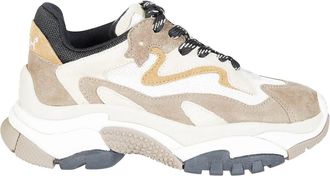 Ash Ash, Femme, Chaussures, Multicolore, Taille: 36 EU Addict 02 Baskets
