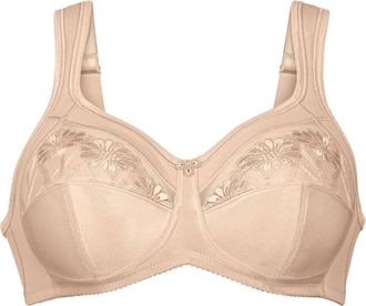 Anita BH Safina