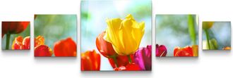 Paul Sinus Art Leinwandbilder | Bilder Leinwand 160x50cm bunte Tulpen im Sonnenschein