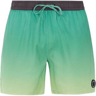 Protest Herren Badeshorts PRTERIN