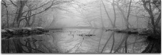 Paul Sinus Art Leinwandfoto als Panorama SCHWARZ/WEISS 150x50cm Wald Bäume Fluss Nebel Dunst