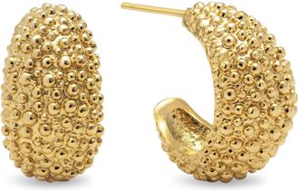 Singularu Antique Creolen. Edelstahl mit 18 Kt Vergoldeter Beschichtung. Schmuck für Damen