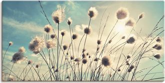 Artland Wanddeko Leinwand Bilder Wandbild 150x75 cm Blumen Blüten Botanik Gräser Wollgras Himmel Sonne Wolken Frühling T2GI