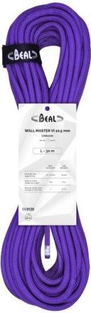 Beal Wall Master VI Unicore 10,5 mm - Einfachseil