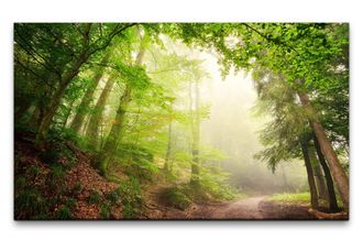Paul Sinus Art Bilder XXL Wald mit Waldweg 120x70cm Wandbild auf Leinwand