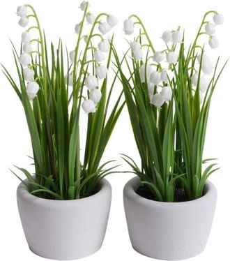 Botanic-Haus künstliches Maiglöckchen im grauen Zementtopf (2 Stück)