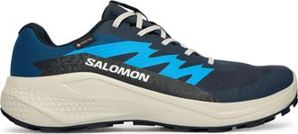 Salomon Laufschuhe Salomon Alphaglide Gtx L47975100 Blau