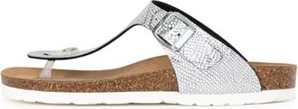 Bayton Mules MERCURE