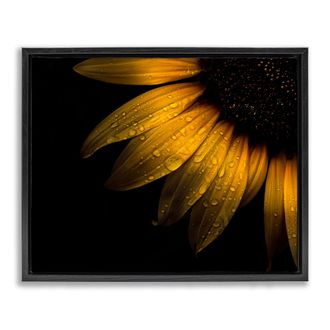 Stupell Industries Brian Carson Photography Leinwandbild, Motiv Wassertropfen auf Sonnenblume, gerahmt, 43,2 x 53,3 cm, Schwarz