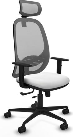 Piqueras y Crespo Cylinanco Arbeitsstuhl mit 1D-Armlehnen, h&ouml;henverstellbarer Lendenwirbelst&uuml;tze und h&ouml;henverstellbarem Kopfteil, neigbar, ausgestattet mit Syncro/Trasl